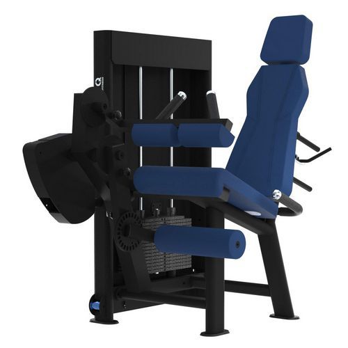 Machine muscu Legs curl extension assis Evolution Laroq - Casalsport.com