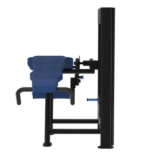 Machine muscu Leg Curl ischios couché Evolution Laroq - Casalsport.com