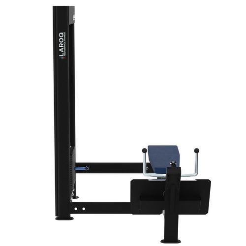 Machine muscu Tirage horizontal Evolution Laroq - Casalsport.com