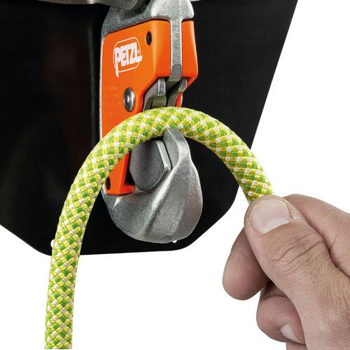 Mousqueton Petzl easytop wall - Casalsport.com