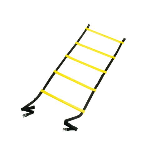 Echelle de rythme juxtaposable largeur 40 cm - Casalsport.com